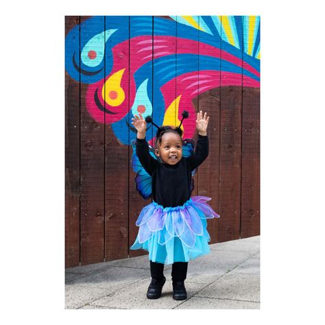 Blue Midnight Butterfly Fancy Dress Up Set Zsl Shop