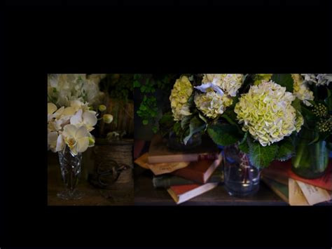 Blooming Lovely My Violet And Myra