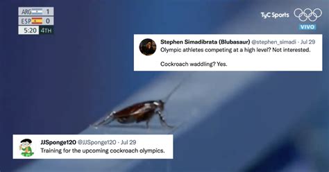 Tokyo Olympics Cockroach Gets 5 Seconds Of Fame When Cameraman Zooms