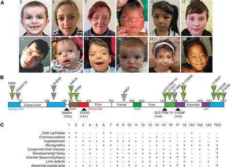 Human Cohort Phenotypes A Facial Photographs Of 12 Individuals In The