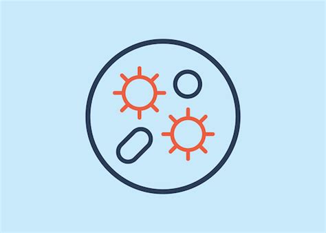 Yeast Infections After Sex Causes And Prevention Uqora