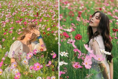 Sex Education Season 4 Ra Mắt Tại Australia Toàn Diện Mọi Thông Tin