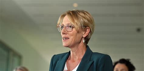 Politics With Michelle Grattan ‘teal Zoe Daniel On…