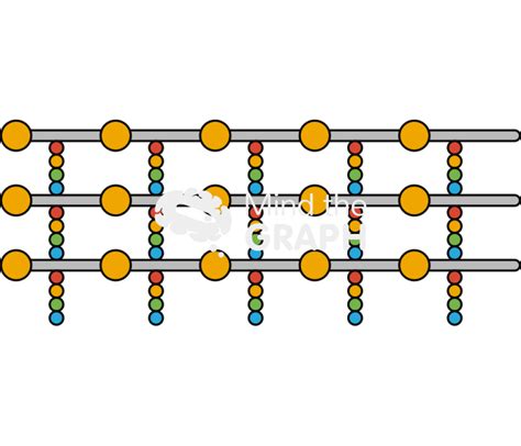 Peptidoglycan Layers