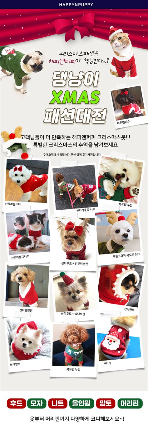 강아지 패션 [3 1] 강아지 크리스마스옷 산타옷 산타망또 산타모자 악세사리 크리스마스 오늘의집 쇼핑