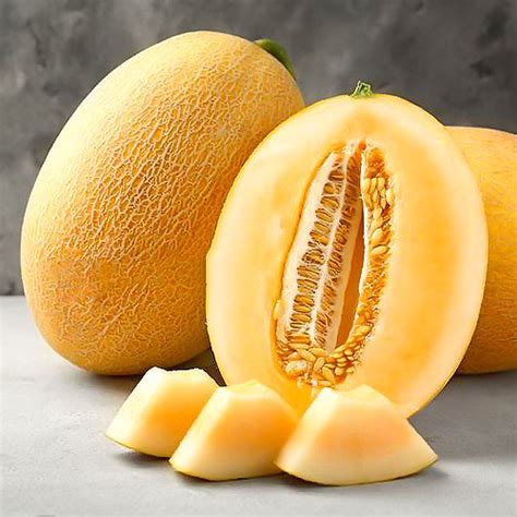 Дыня Амал купить в Украине — интернет магазин СолнцеСад