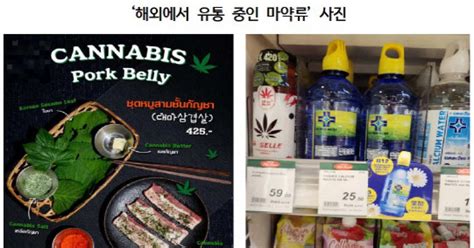 삼겹살에 소주 먹었을 뿐인데마약사범