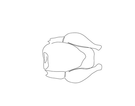 Premium Vector Continuous Line Drawing Of Chicken Meat One Line Of