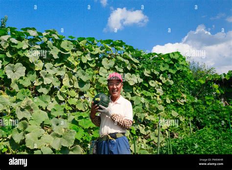 Japanese Old Man Hi Res Stock Photography And Images Alamy