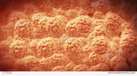 Inside Human Bodyfat Cellshighly Detailed Texture Stock Animation