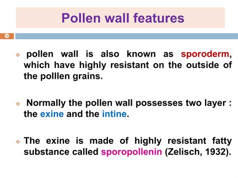 Male Gametophyte Morphology Ppt