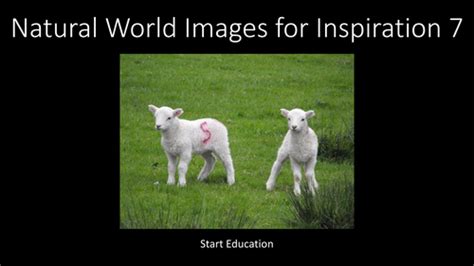 Gcse Art Aqa Exam Component 2 2020 Teaching Resources