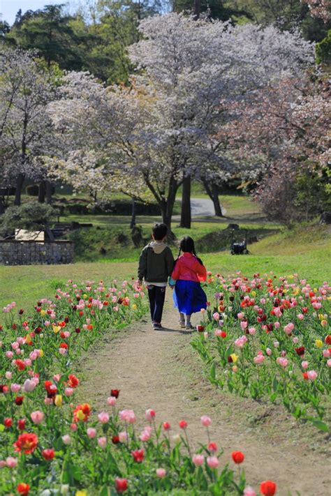 2021春の写真コンテスト入賞作品 Photo 兵庫県立フラワーセンター