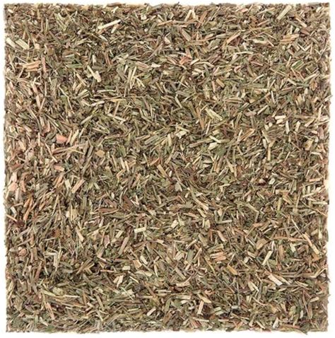 Vervain Herb Pearl Herbs
