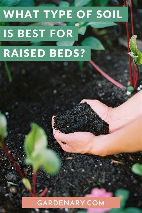 What Is The Best Soil For A Raised Vegetable Garden Artofit
