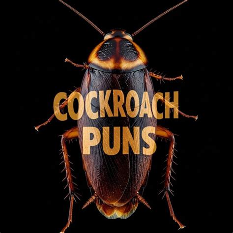 Cockroach Puns Wordplay That Scurry With Humor Fun With Puns