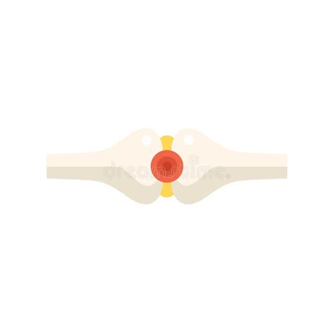 Synapse Transmitting Signal Between Two Neurons Illustration Stock