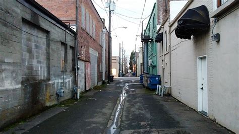About Our Alleys More Than A Shortcut Hasso Hering