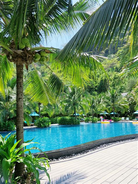 รีวิวที่พัก บนเกาะพีพี 🛖🏝🌊 แกลเลอรีที่โพสต์โดย Janmay Travel Lemon8