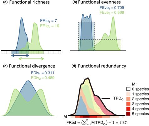 Illustration Of The Selected Indices Of Functional Structure In The Download Scientific