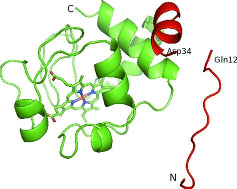 Iucr Structure At 15 Å Resolution Of Cytochrome C 552 With Its