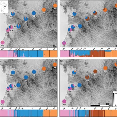 Population Graphs Inferred By Treemix Using Microsatellite Data Branch Download Scientific