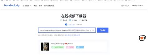 Datatoolvip ：在线视频下载网站，轻松下载无水印高清在线视频 科技师