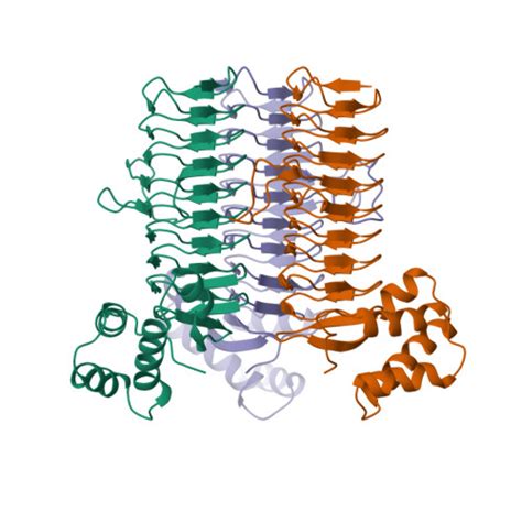 Rcsb Pdb 3hsq Structural Basis For The Sugar Nucleotide And Acyl
