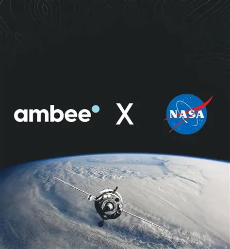 Ambee