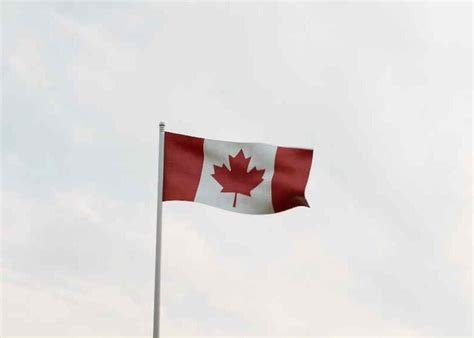 The Role Of Immigration Consultants In The Canadian Immigration Process