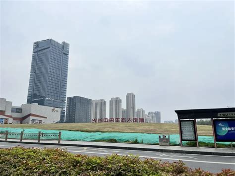 【武汉大悦城店铺门面店面出租•出售•租赁价格信息】 武汉商铺网 房天下
