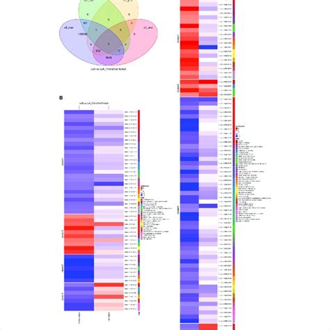 Correlation Analysis Of Transcriptome And Proteome A Venn Diagram Of