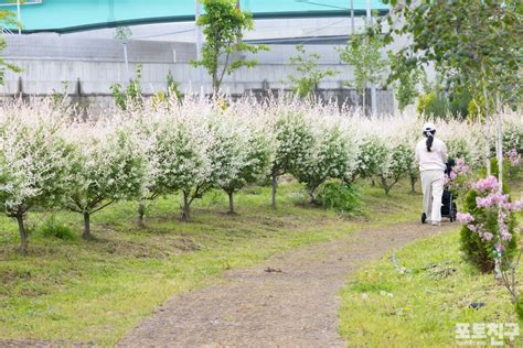 포토친구 삼색 버드나무 셀릭스