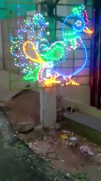 Peacock 🦚🦚 Youtube