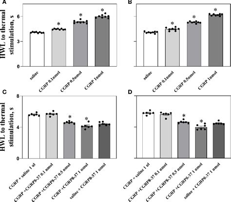 Figure 1 From Role Of Calcitonin Gene Related Peptide In Nociceptive