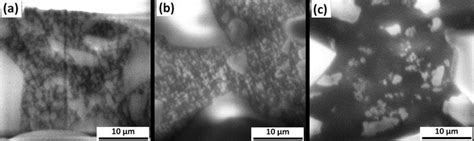 Fig Fig 3 Cross Sectional Analysis SEM Images Collected On The Download Scientific Diagram