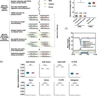 Workflow Chart For Data Generation And Analysis Via Sequencing Of Download Scientific Diagram
