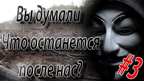 Шок леса Украины массово вырезают Ліси України масово вирізають