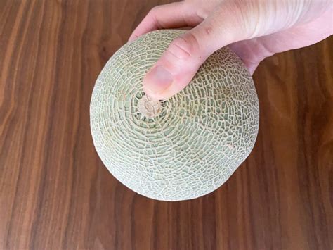メロン食べごろになるまで冷蔵庫に入れる or 入れないどっちが正解元スーパーの店員の回答に早く知りたかった ぱ
