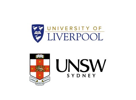 What Happens Inside Soft Materials When They Deform