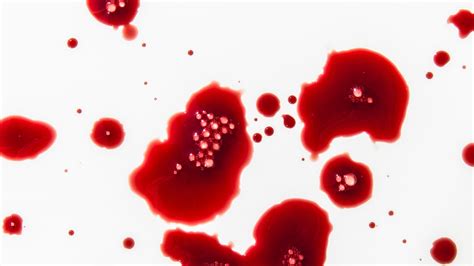 Why Chefs Are Cooking with Blood - Bon Appétit | Bon Appetit