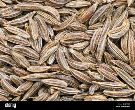 Caraway Seeds