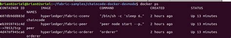 Docker Container Hyperledgerfabric Tools Cli Doesnt Run For Go Chaincode Example Hyperledger