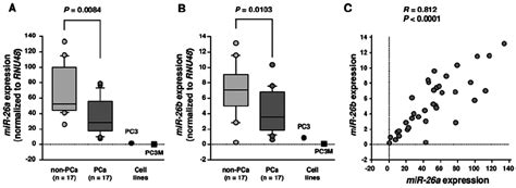 Expression Levels Of Mir 26a And Mir 26b In Prostate Specimens