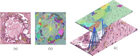 Figure 1 From A Survey On Graph Based Deep Learning For Computational