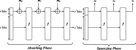 sponge construction download scientific diagram
