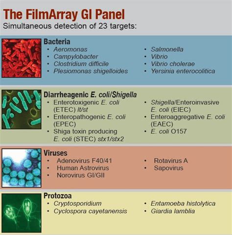 Molecular Microbiology Microbiology Learning The Whyology Of
