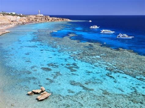Vacation In Beautiful Sharm El Sheikh Egypt EtravelTrips