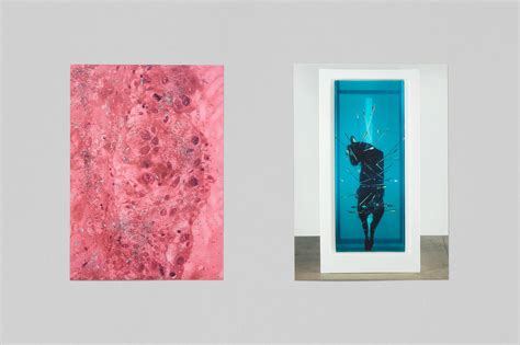 Damien Hirst ‘beyond Belief Postcard Set White Cube