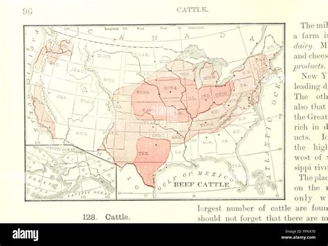 This Educational Book Introduces Primary Geography To Young Readers Offering Simple